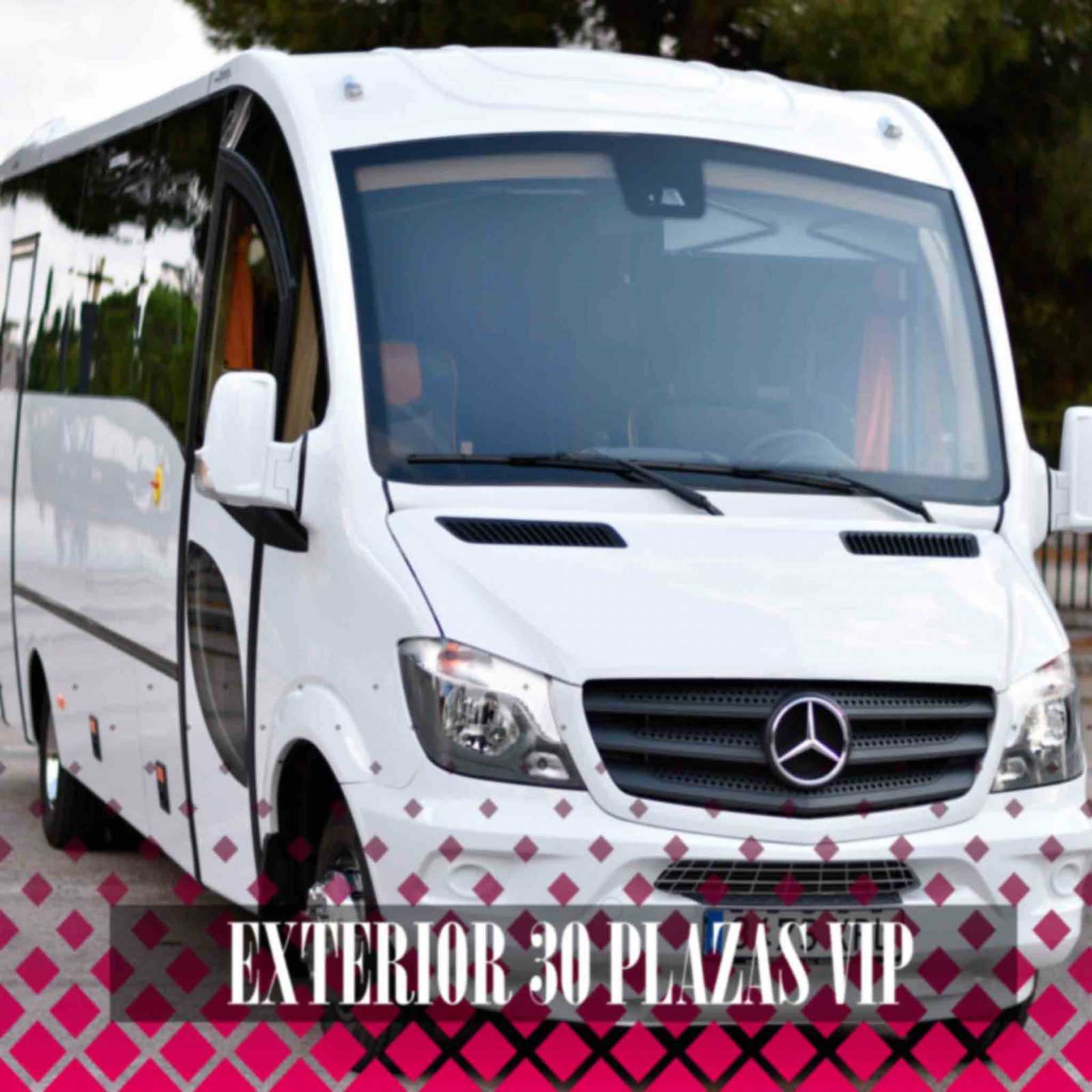 ¿Cual es la diferencia entre un Micorbus - Minibus?¿Que tipos existen?