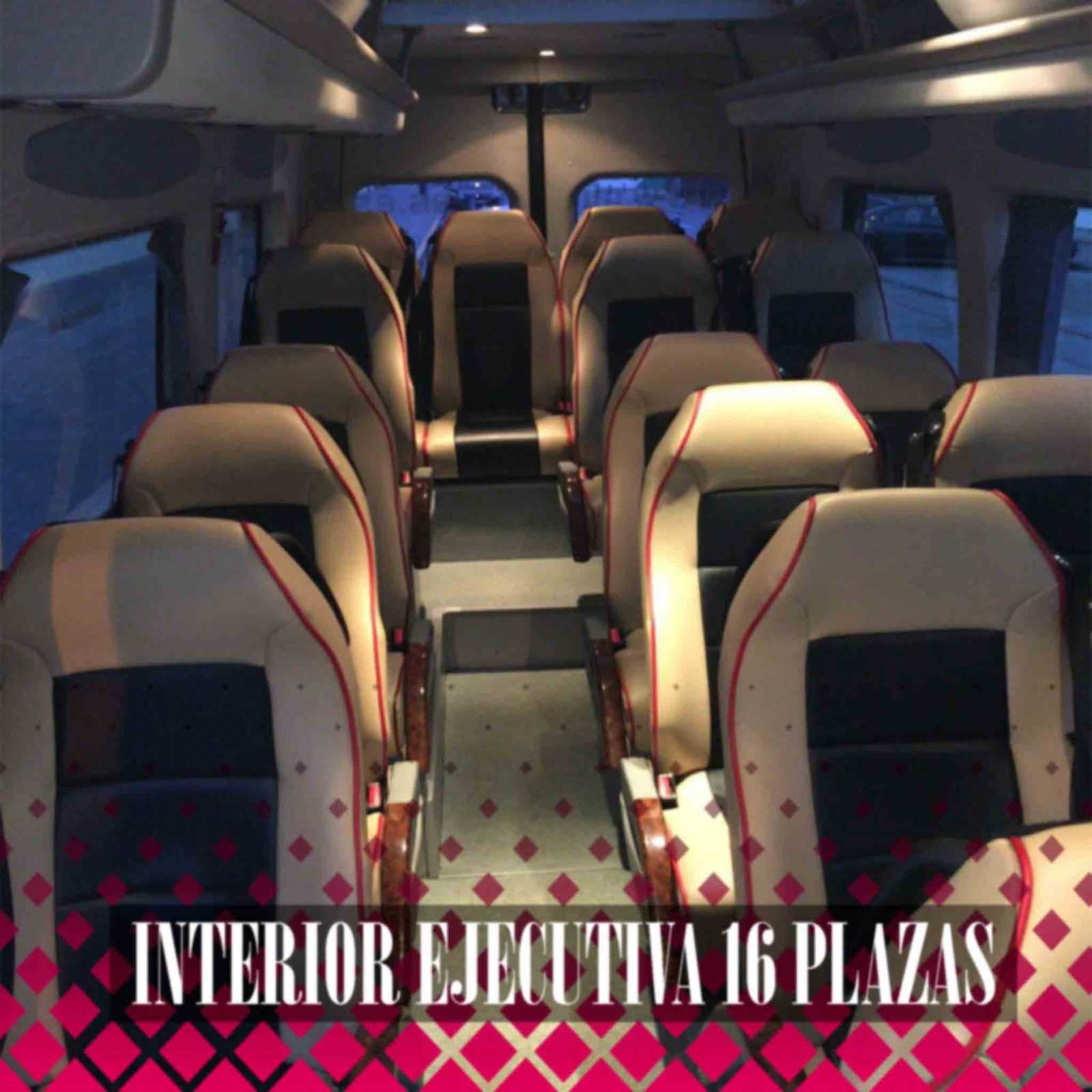 ¿Cual es la diferencia entre un Micorbus - Minibus?¿Que tipos existen?